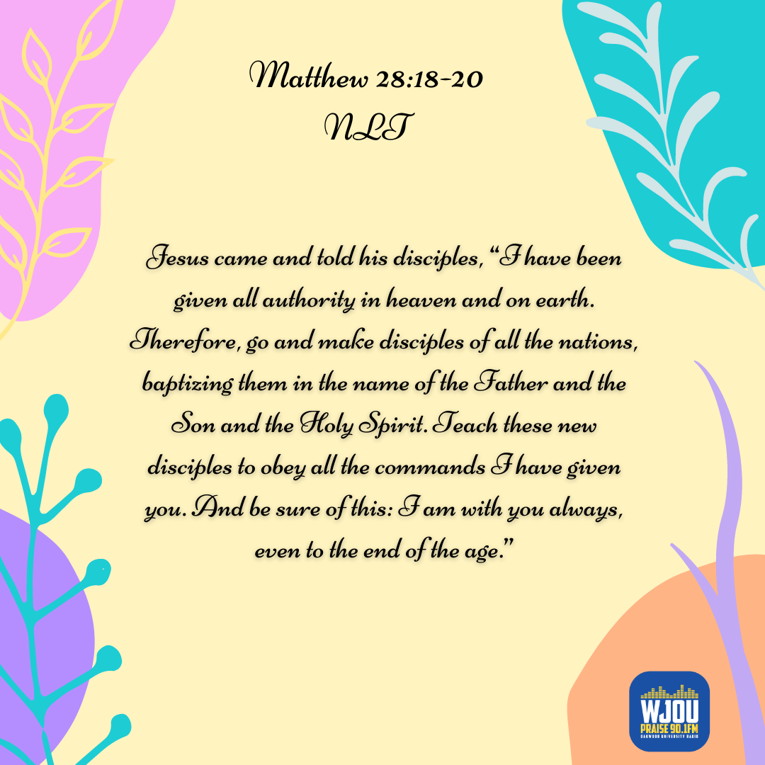 Matthew 18 Msg Purchase Cheap Www gbu presnenskij ru
